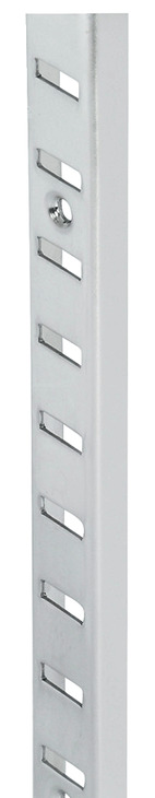 EC004209 - Shelf support rail