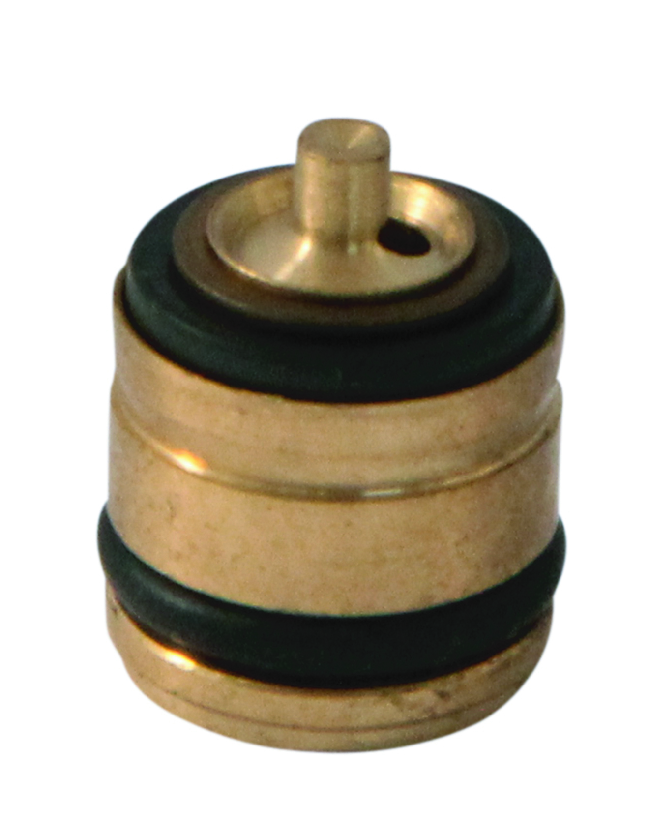 EC004563 - Accessories/spare parts for temperature safety relief valve